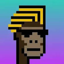 Phoenix Athena Knight – Medium