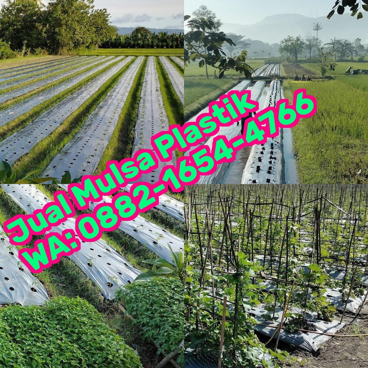 Harga Mulsa Plastik – Medium
