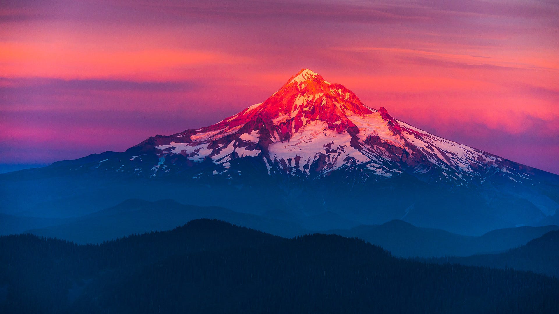 about-premiere-pdx-medium