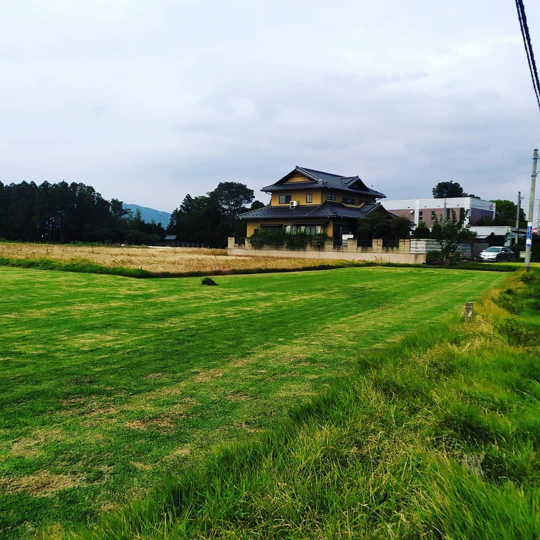 Yumi Sato – Medium