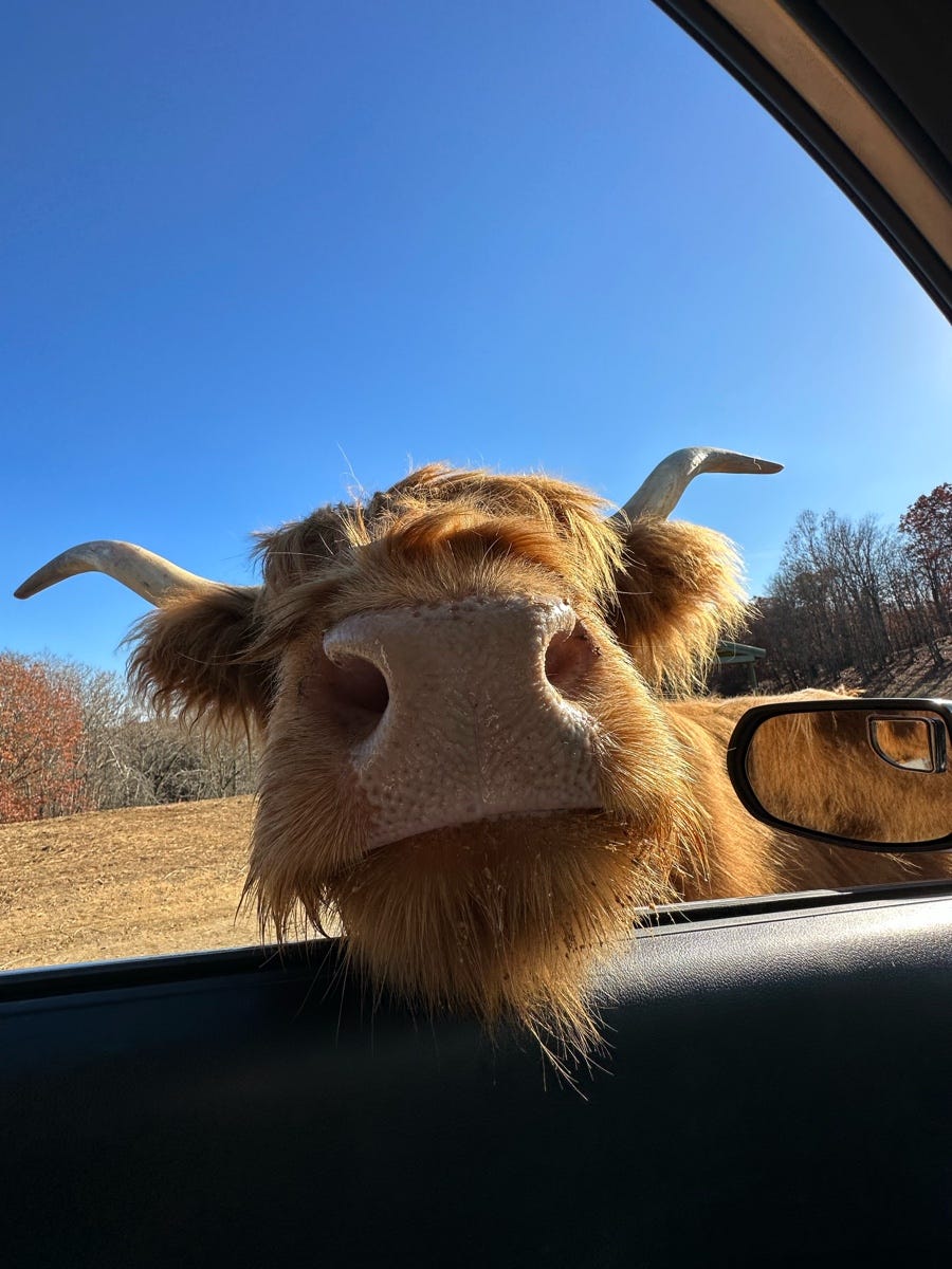 About – Queen of Questions – Medium