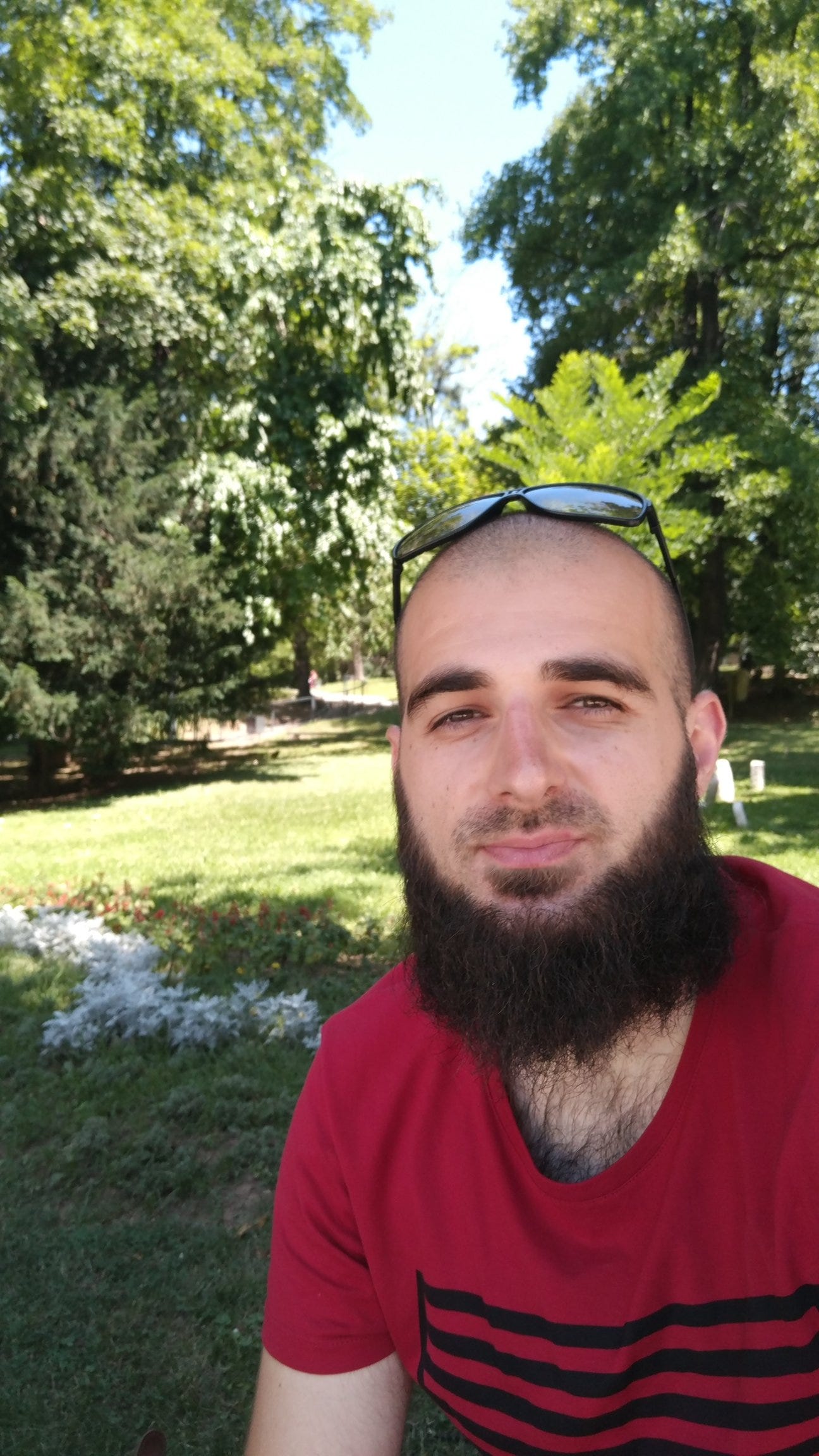 Elvis Dedic – Medium