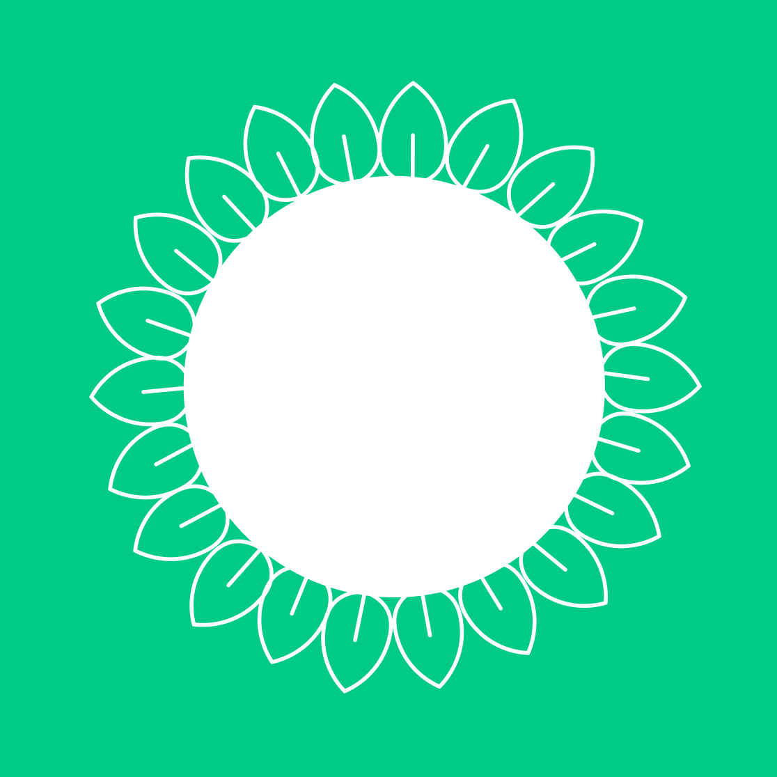 Oleaf Defi – Medium