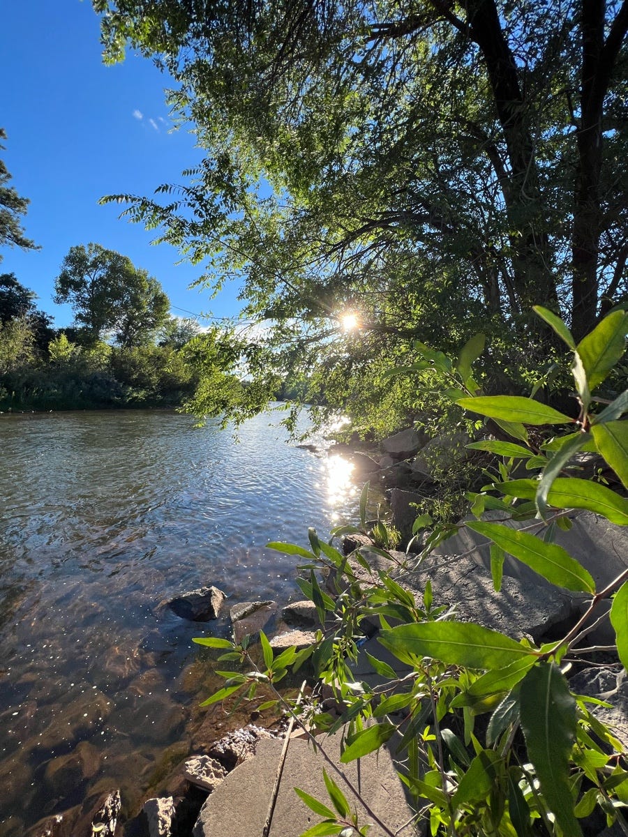 Wordsmith Davis on Medium curated some lists