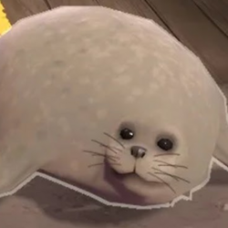 Bouncing Seals – Medium