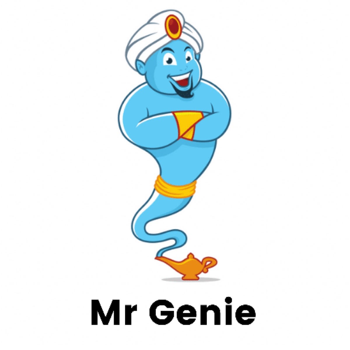 Mr Genie – Medium