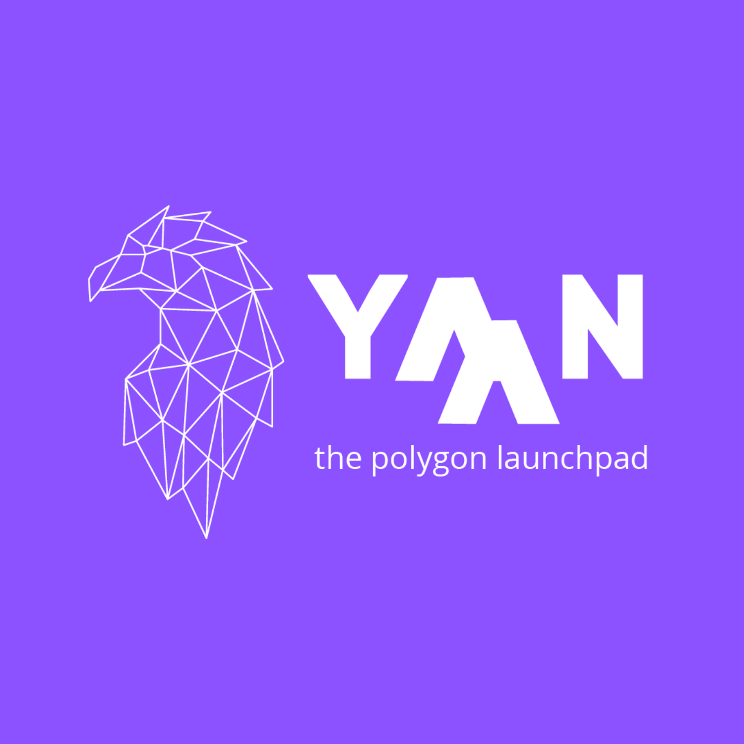 Yaan Launchpad – Medium