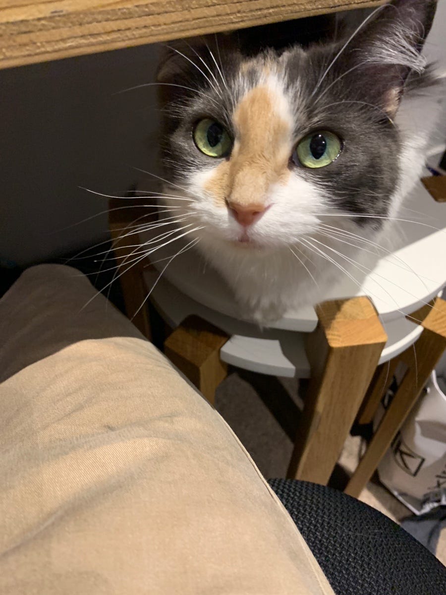 Aidan Chen – Medium