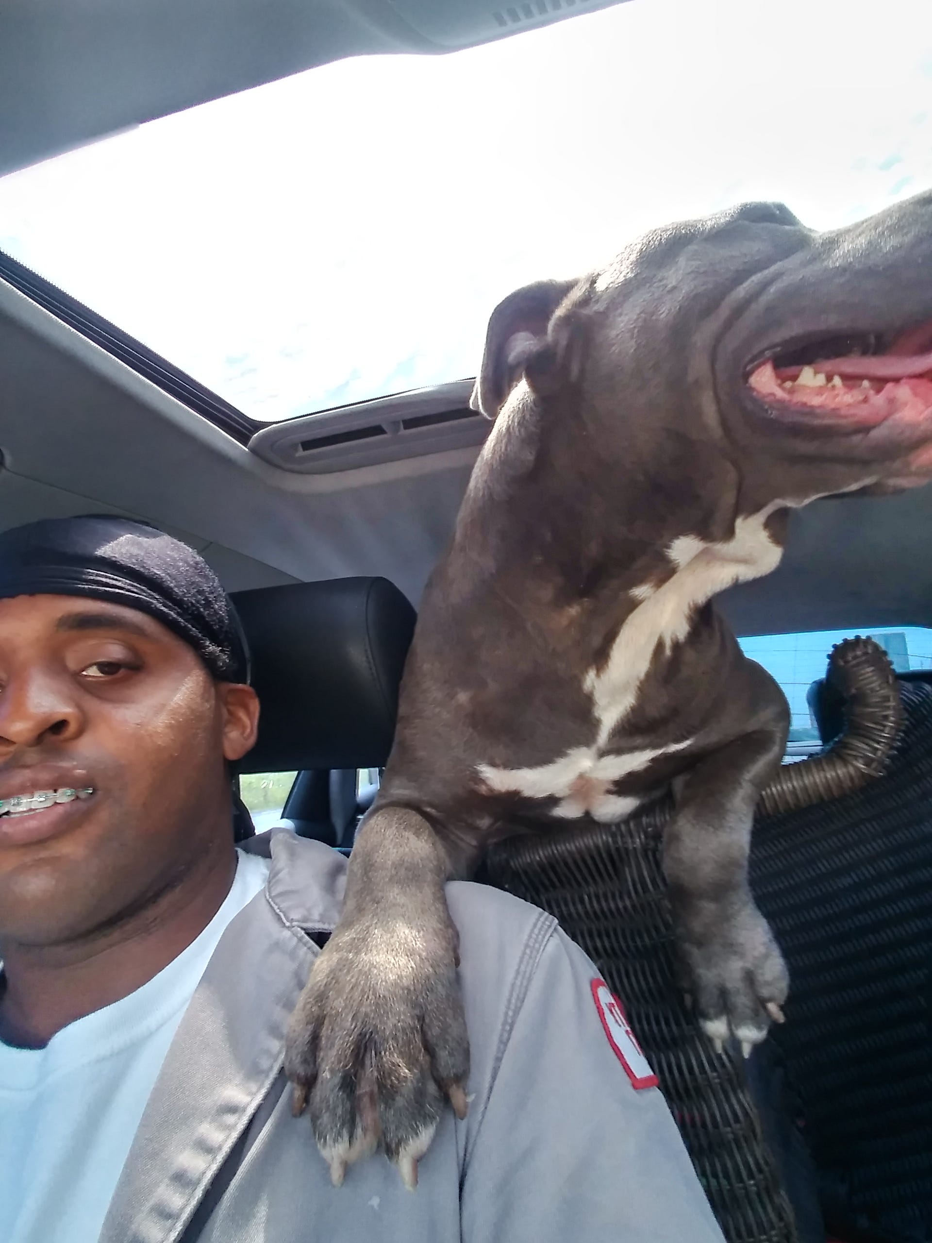 ronald Jacob James jr – Medium
