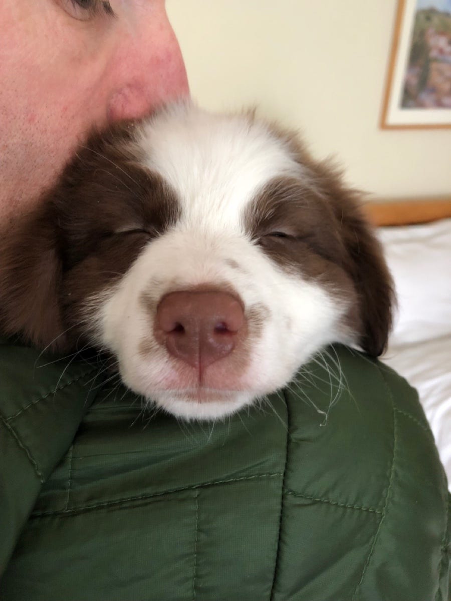 David Hughes on Medium curated some lists