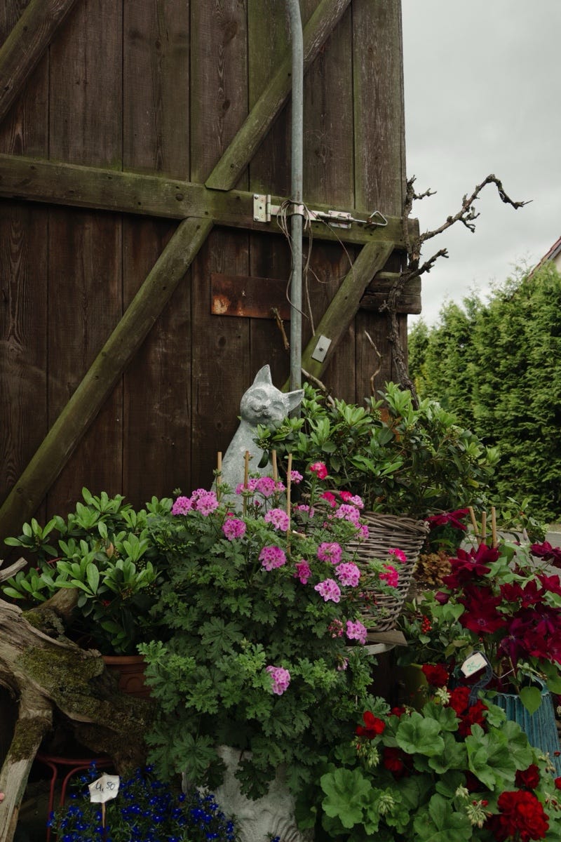 The Quiet Trace – Medium