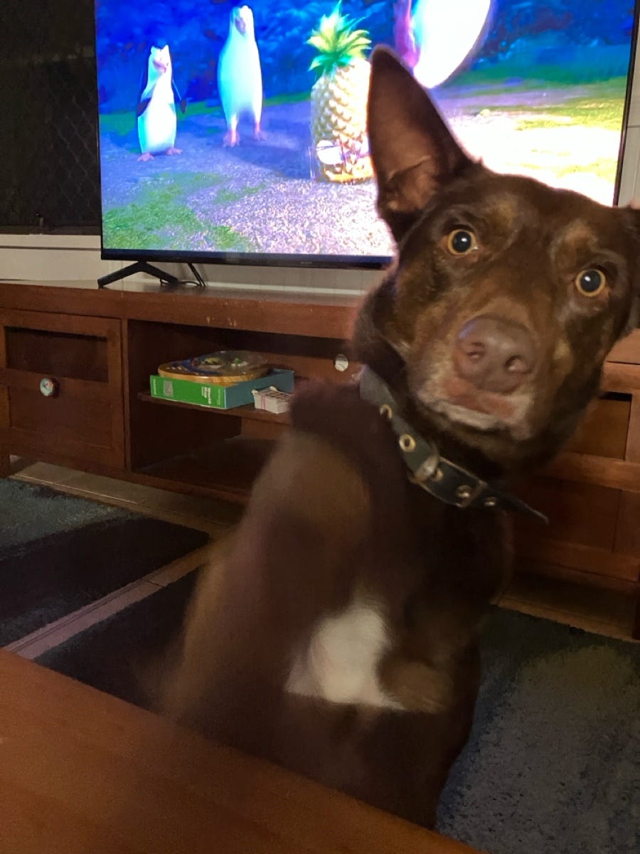 Layla on Medium curated some lists