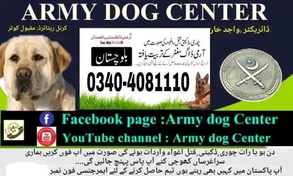 Army dog center Pakistan 03404081110 – Medium