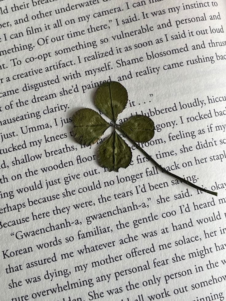 clover – Medium
