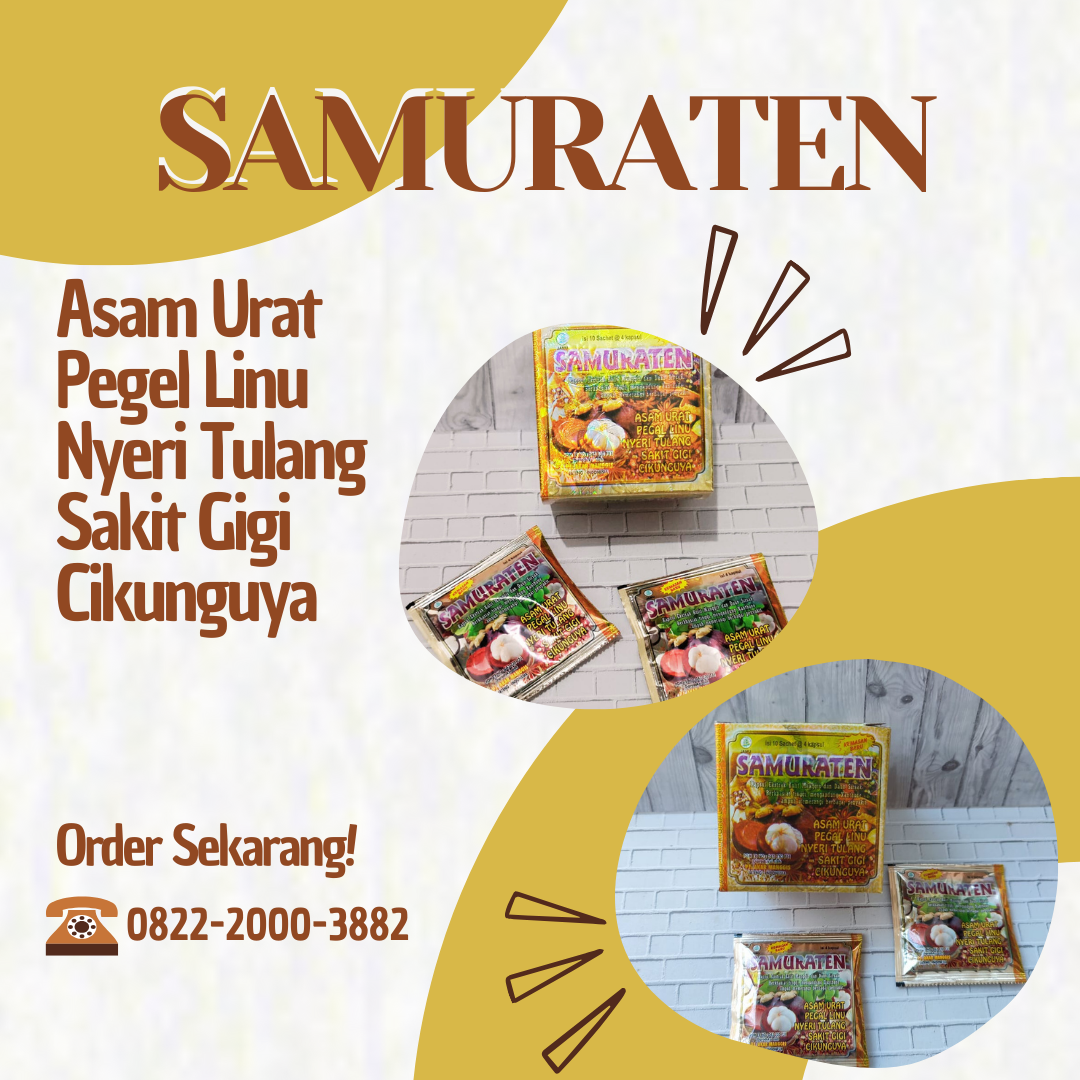 samuraten asam urat – Medium