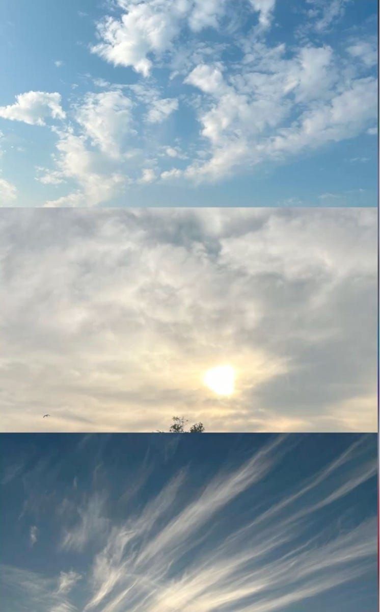 Kavya Bisht – Medium