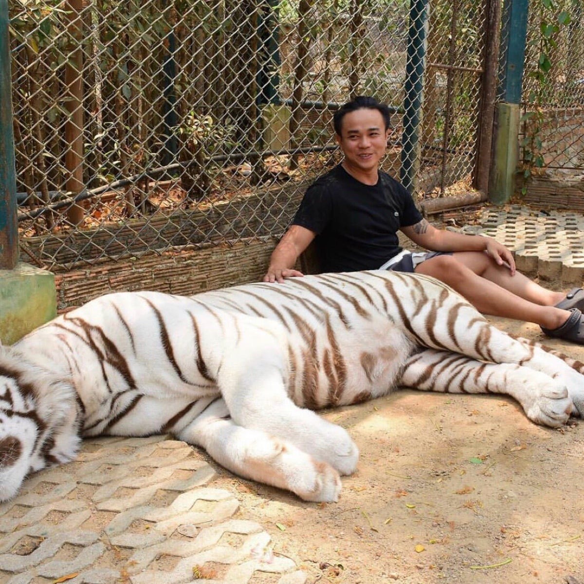 Billie Lee Lucas on Medium curated some lists