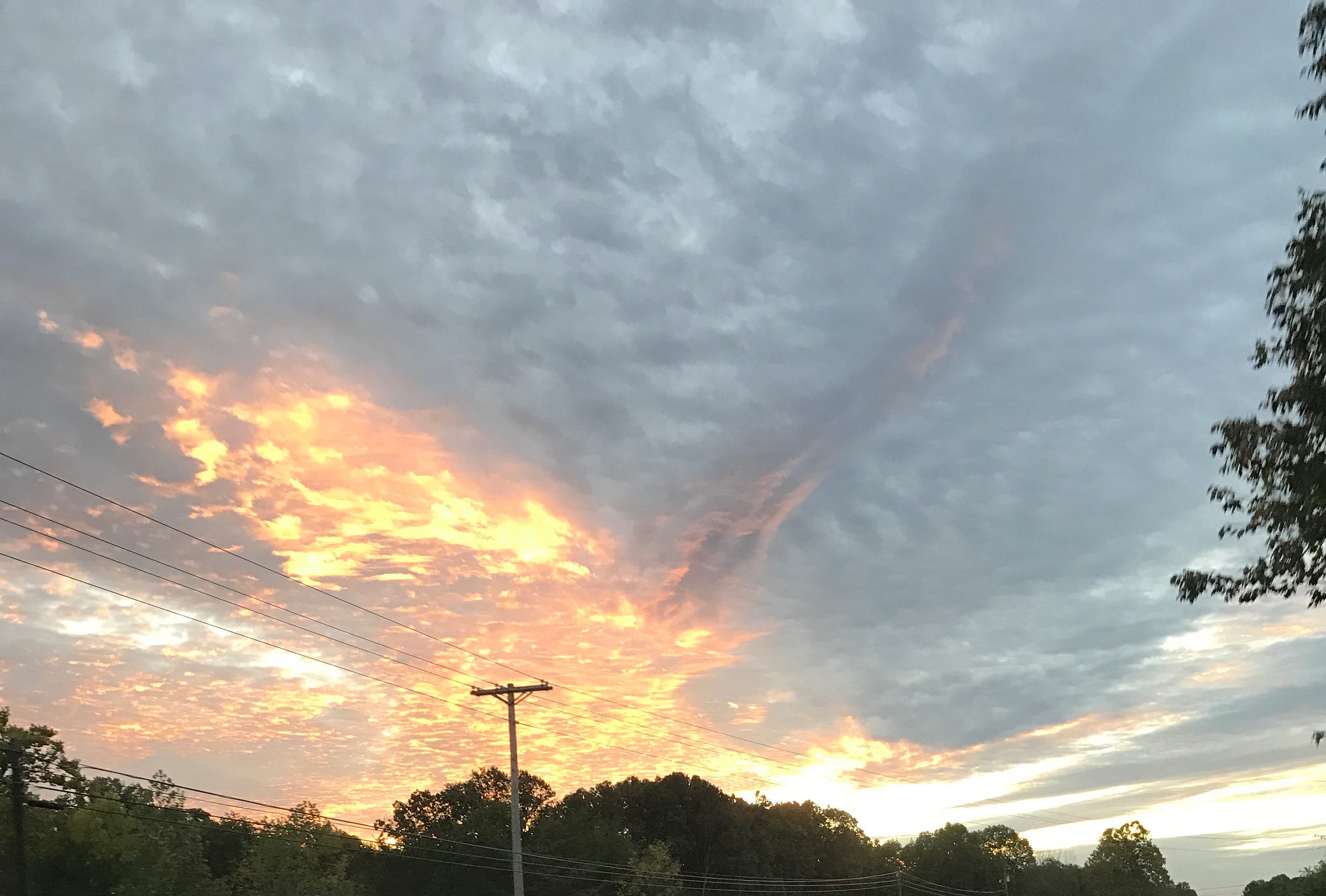 Mackenzie Graham – Medium