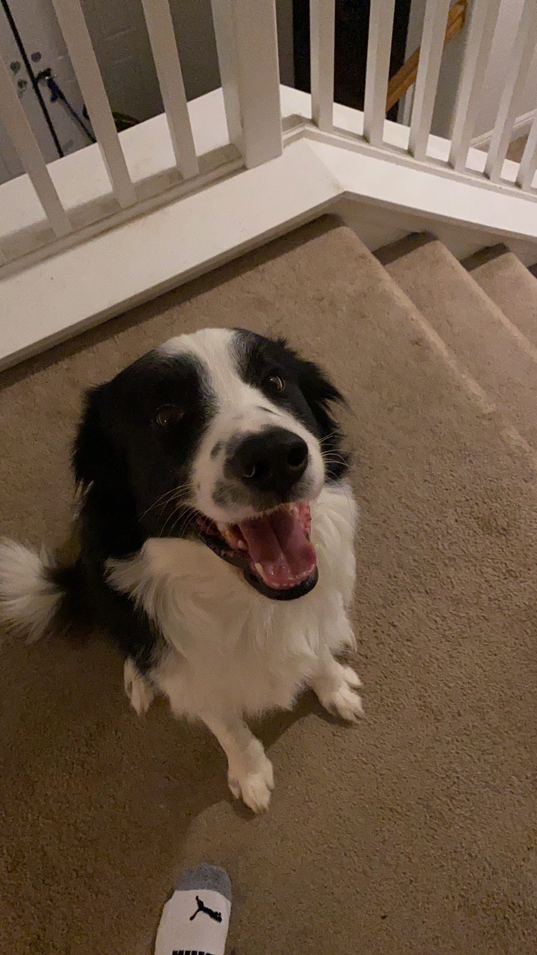 Zhe (David) Han – Medium