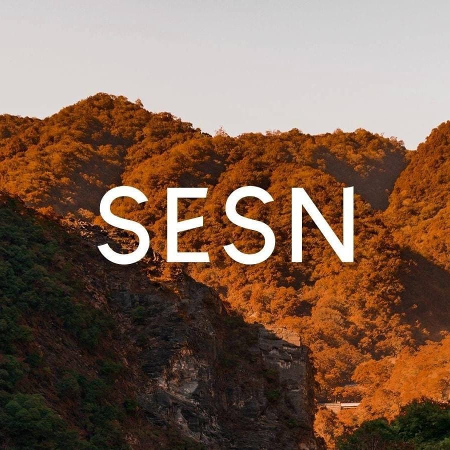 SESN – Medium