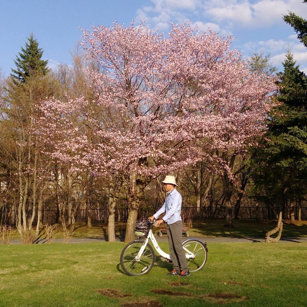 Tommy Shum – Medium