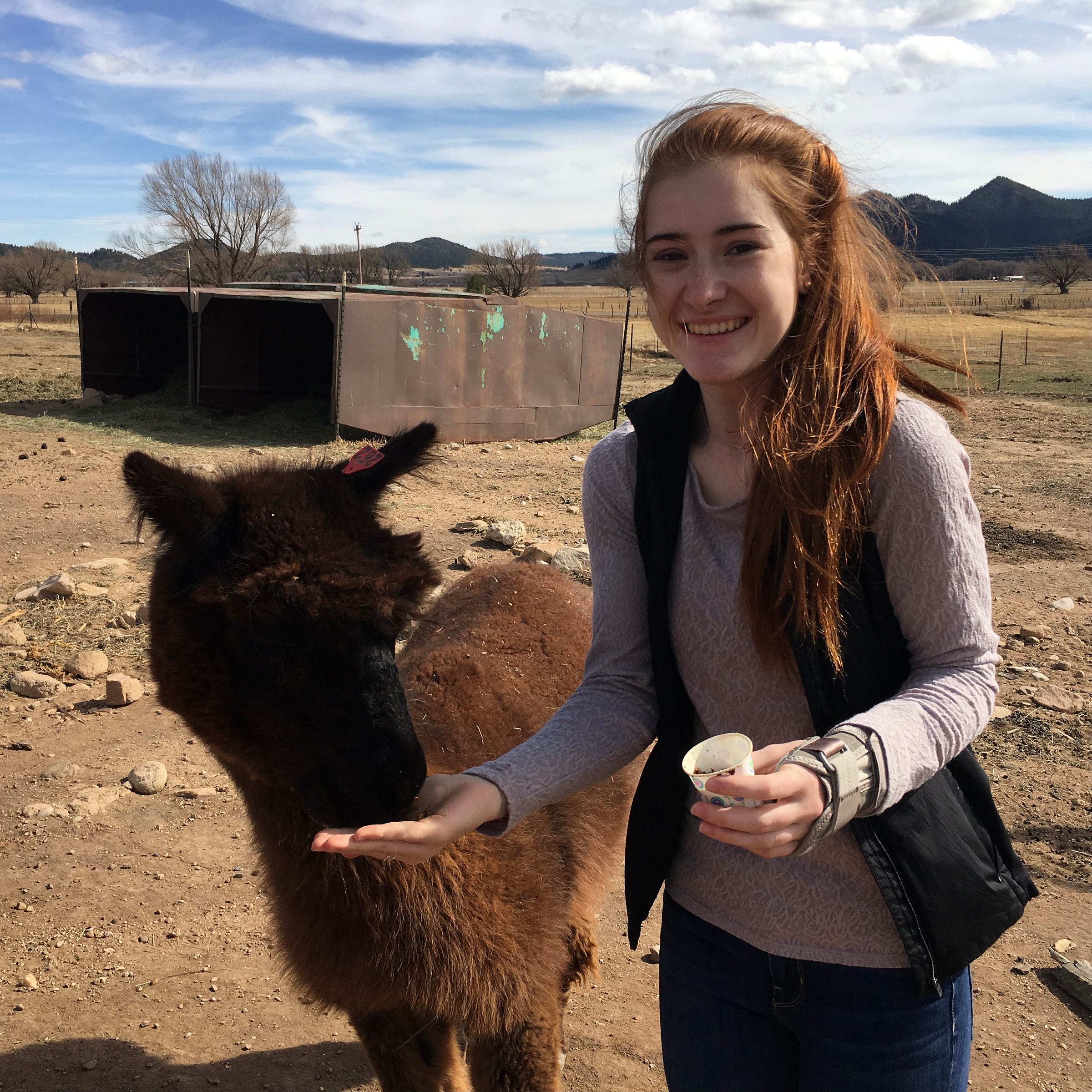 Anna Sadler – Medium