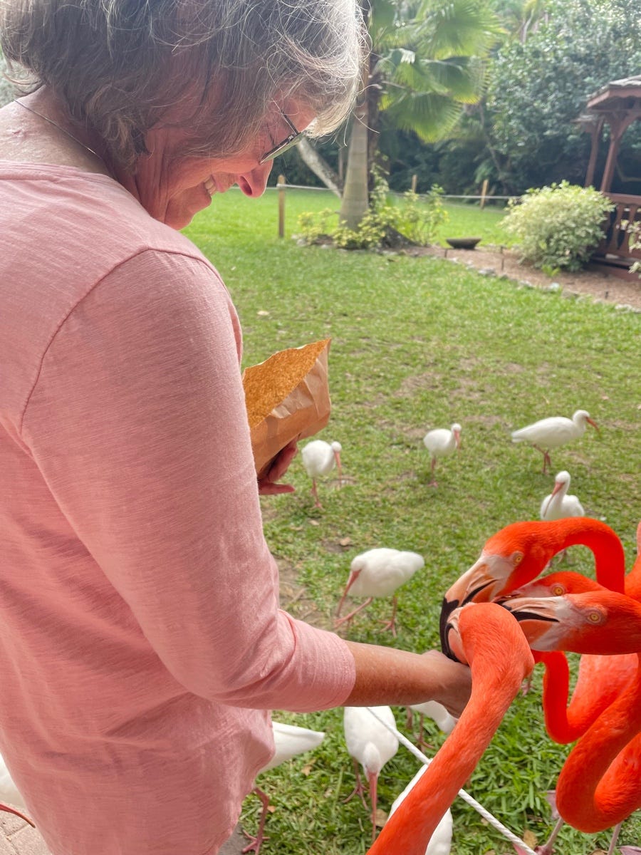 Becky Terrell – Medium