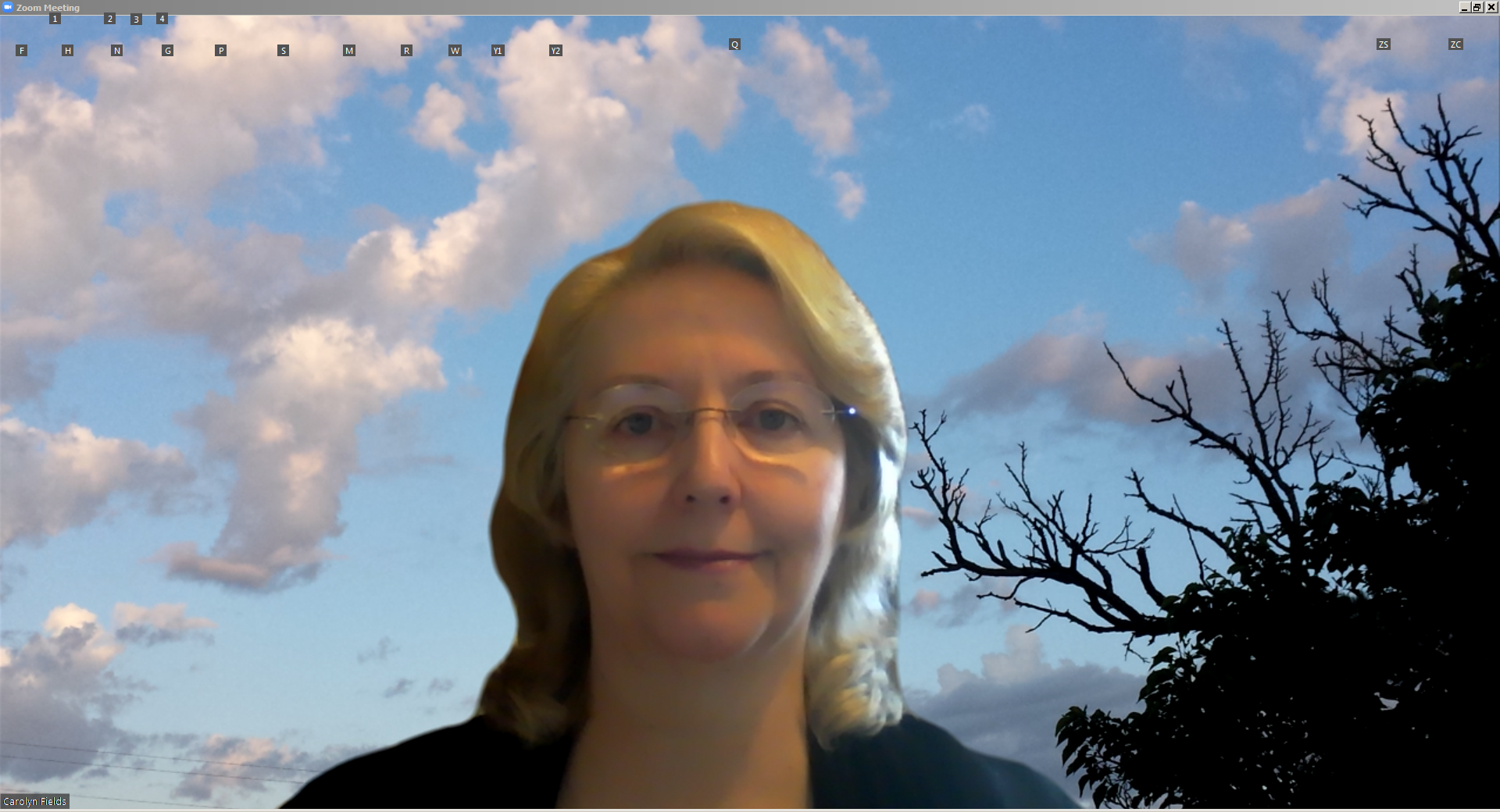Carolyn Fields – Medium