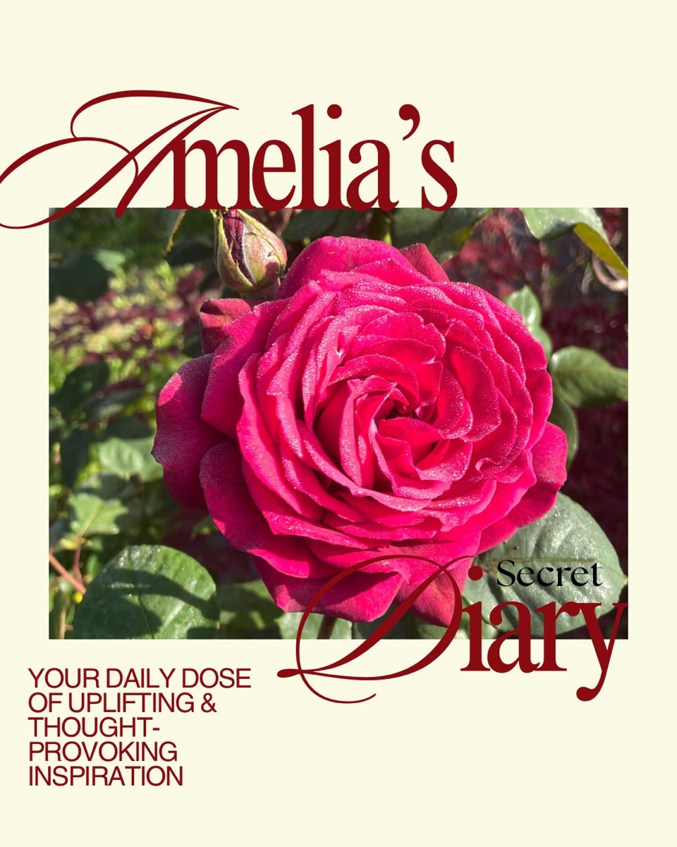 Amelia’s Secret Diary – Medium