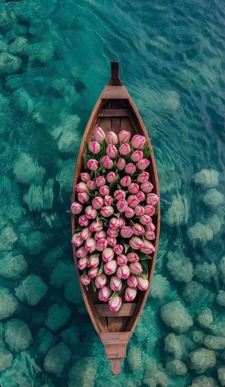 Shaima Ahmed – Medium