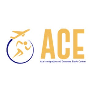 Ace Immigration Centre – Medium