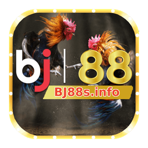 Bj88 – Medium