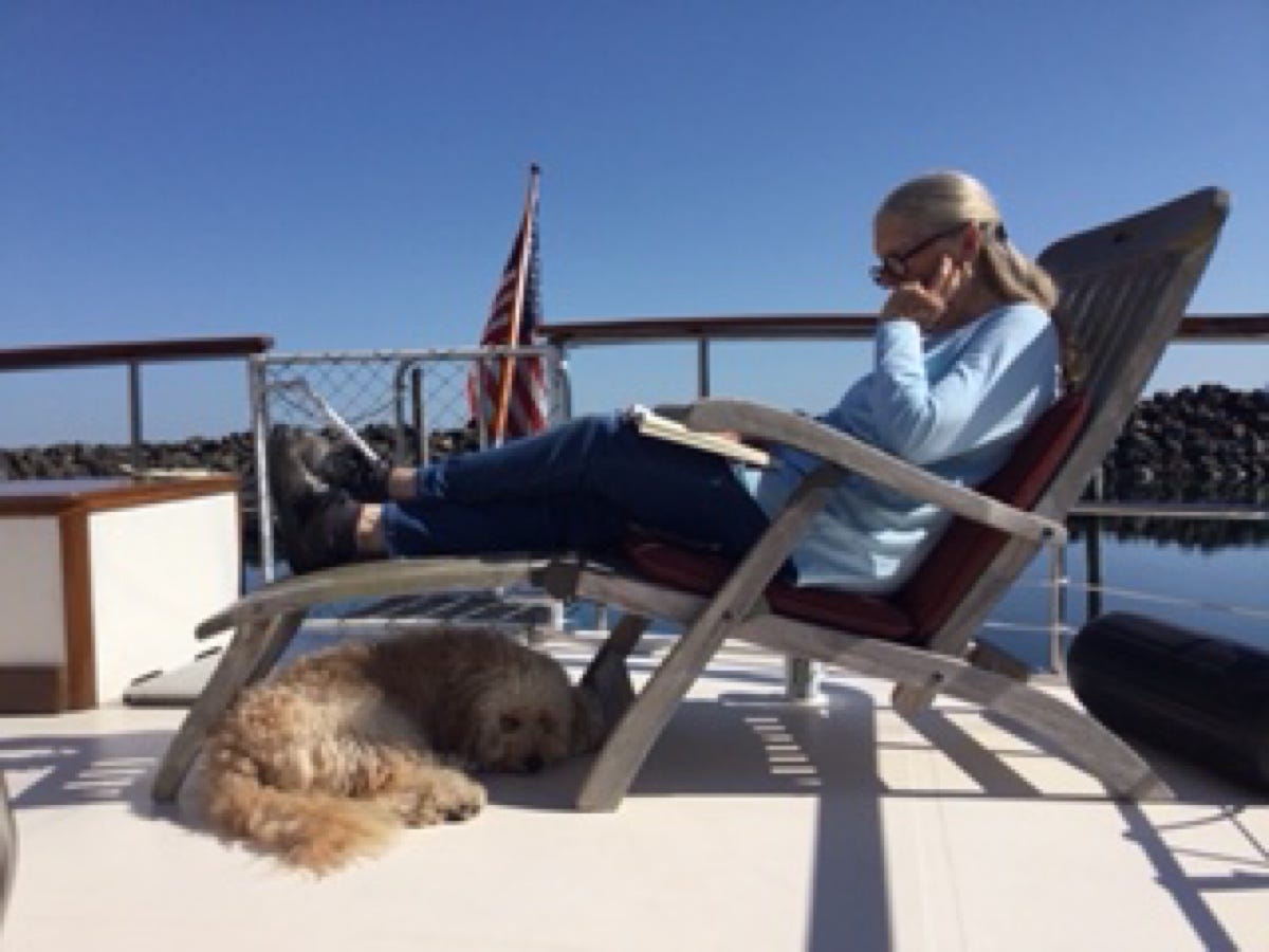 Barbara Roberts Pine – Medium