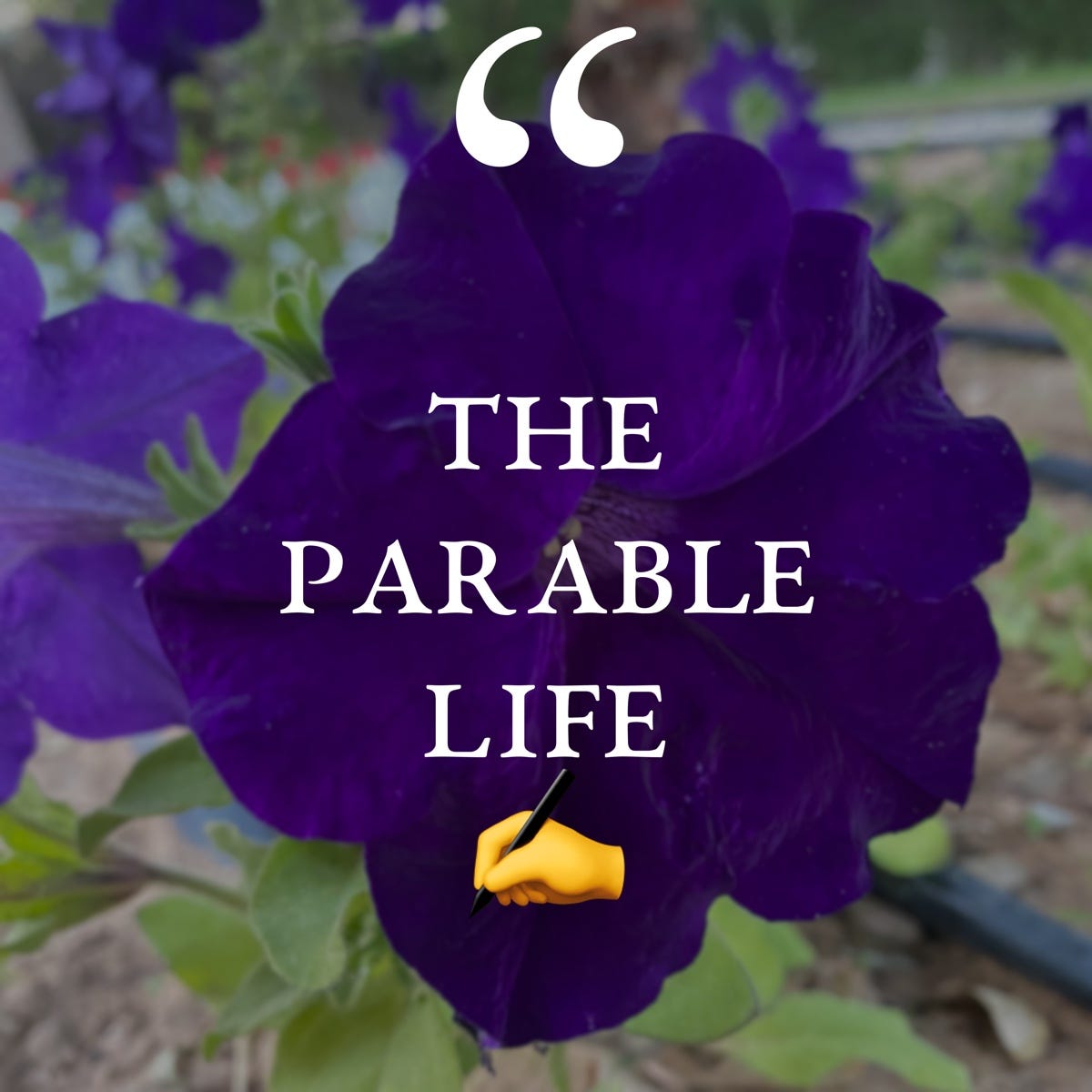 Olasunkonmi Azeez – Medium