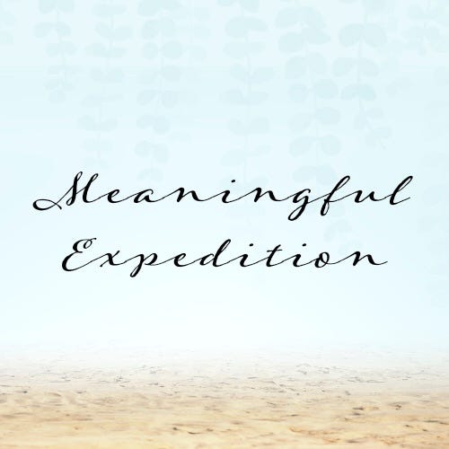 Meaningful Expedition – Medium