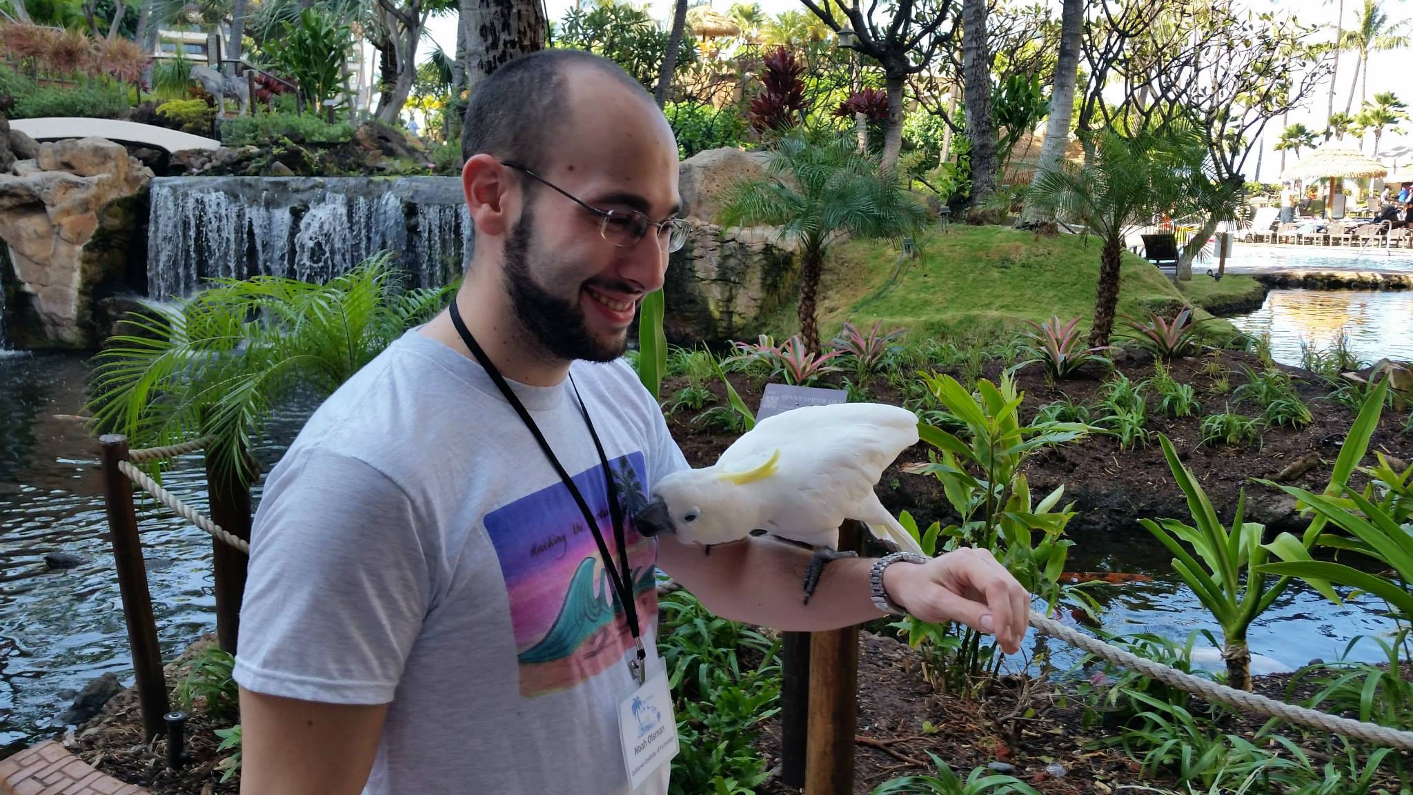 Noah Olsman – Medium