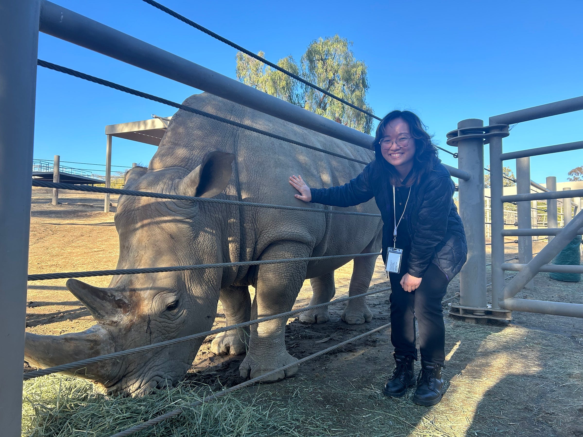 Kiana Hasegawa – Medium
