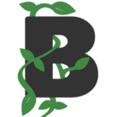 Beanstalk Web Solutions – Medium