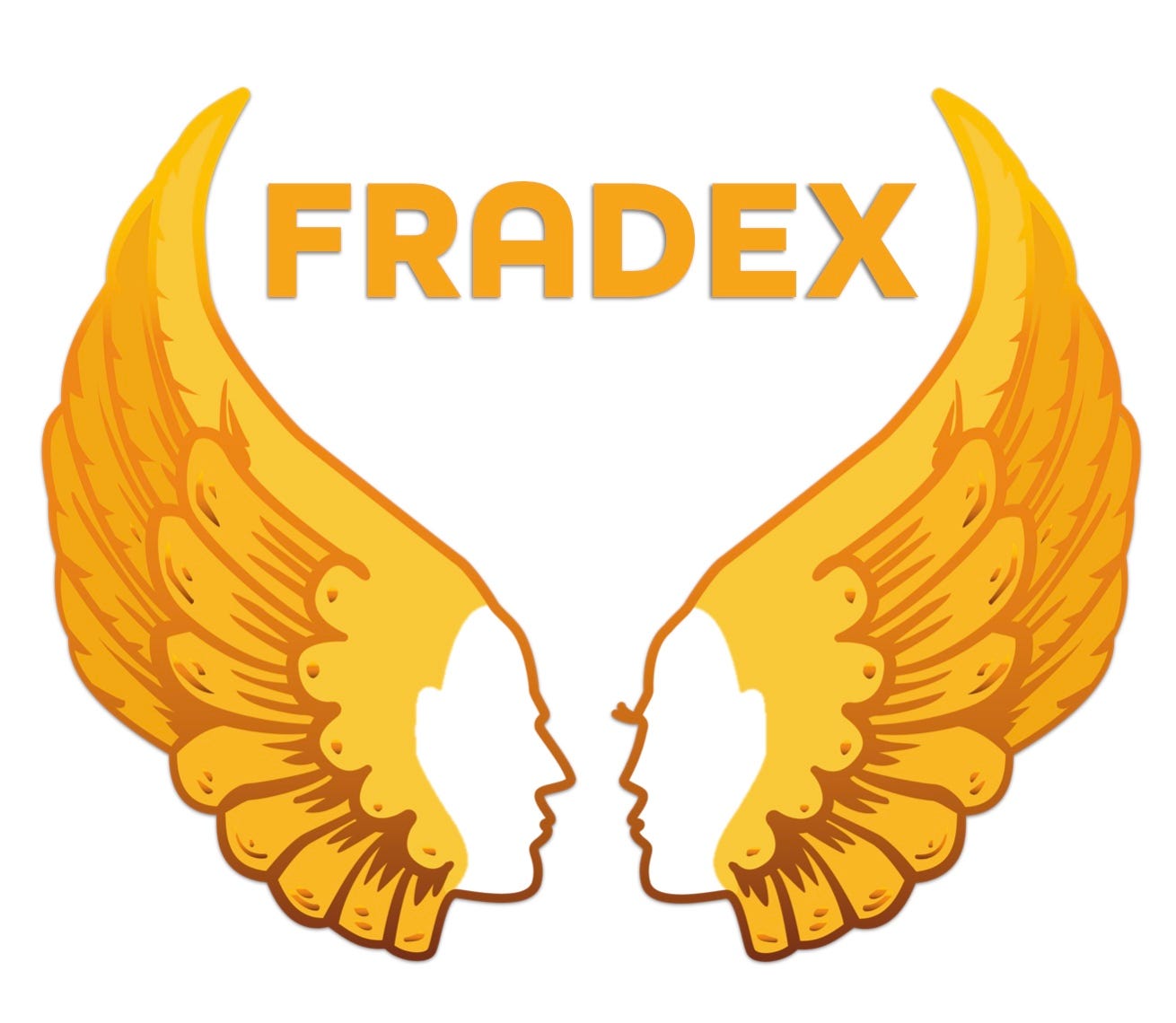 About – FRADEX – Medium