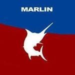 Marlin Bikes – Medium