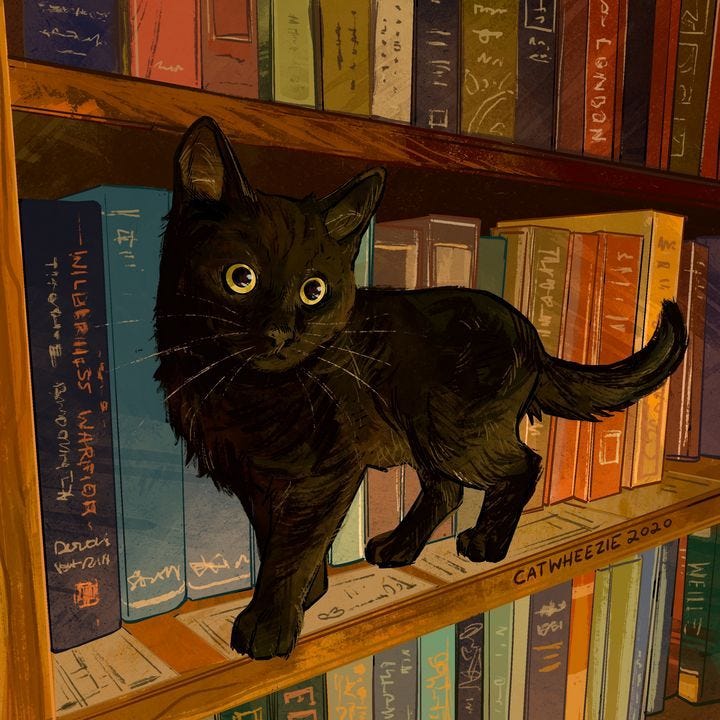 si pusang itim – Medium