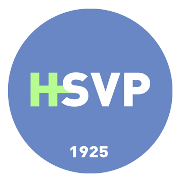 HSVP — Hospital São Vicente de Paulo – Medium