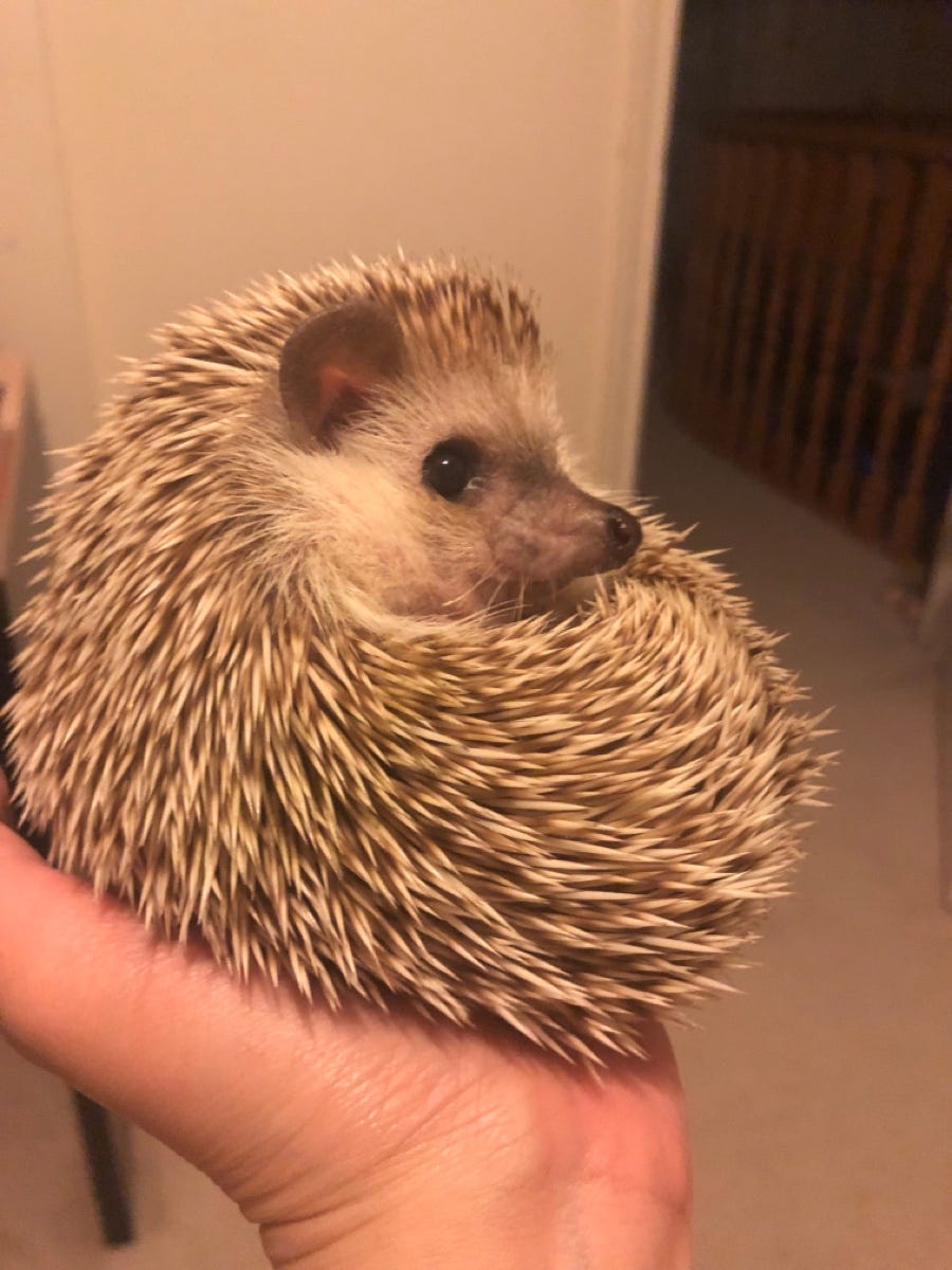 Jaime on Medium curated some lists