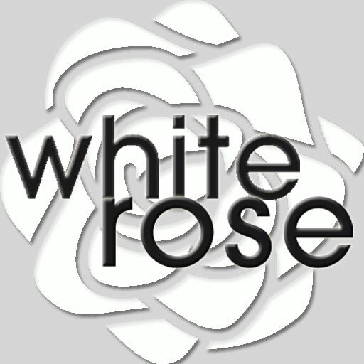 White Rose – Medium