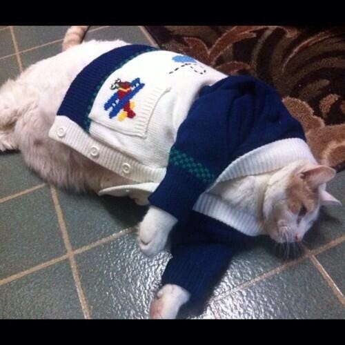 Alexander Supertramp – Medium