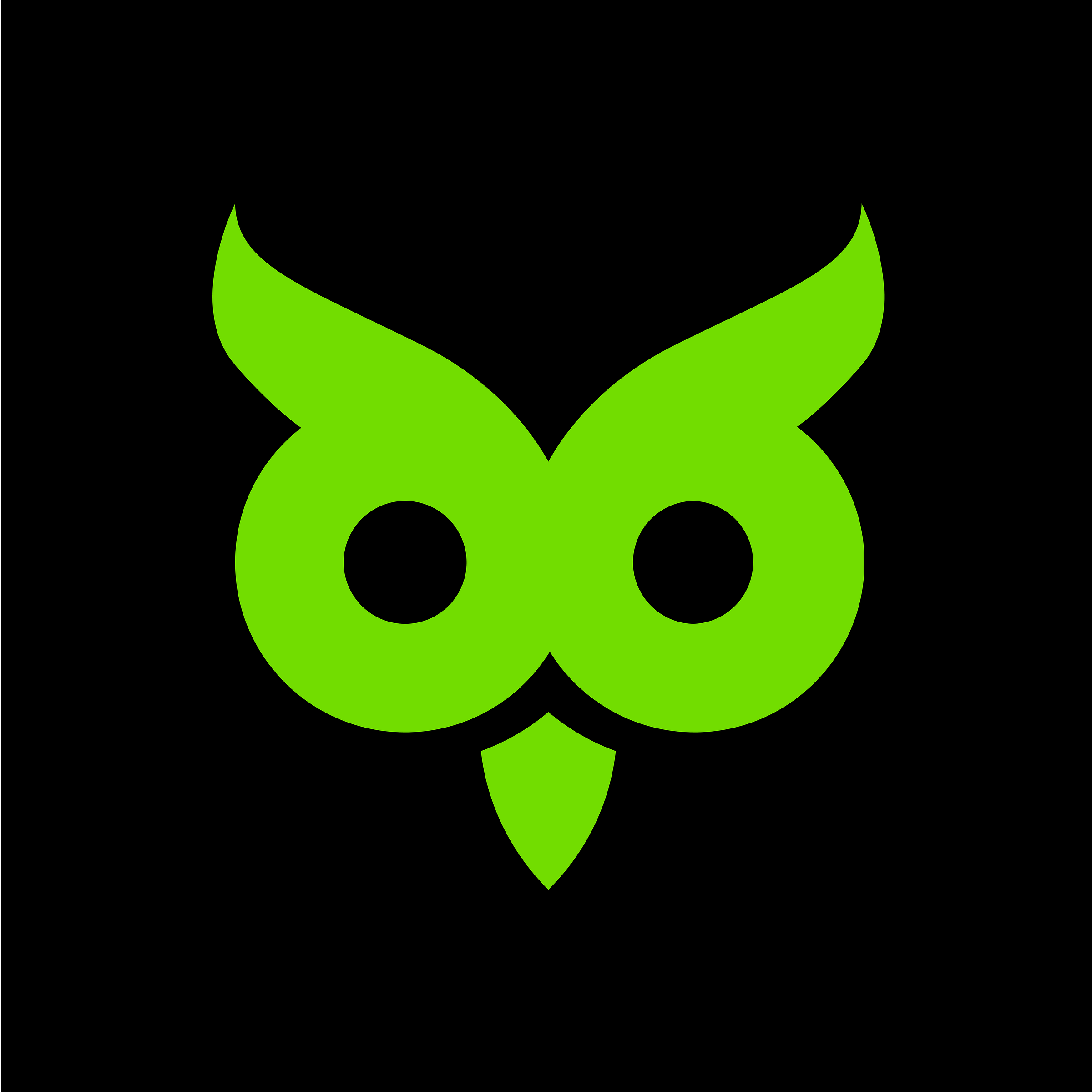 Secretowlsociety – Medium