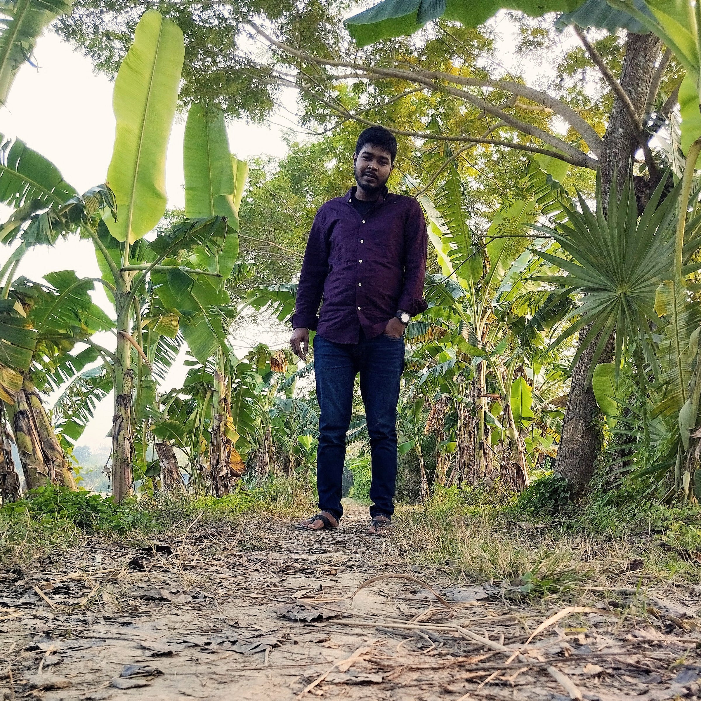 Mahedi Hassan – Medium Mahedi Hassan – Medium