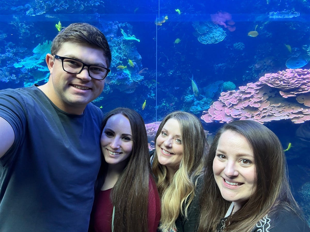 Matt on Medium curated some lists