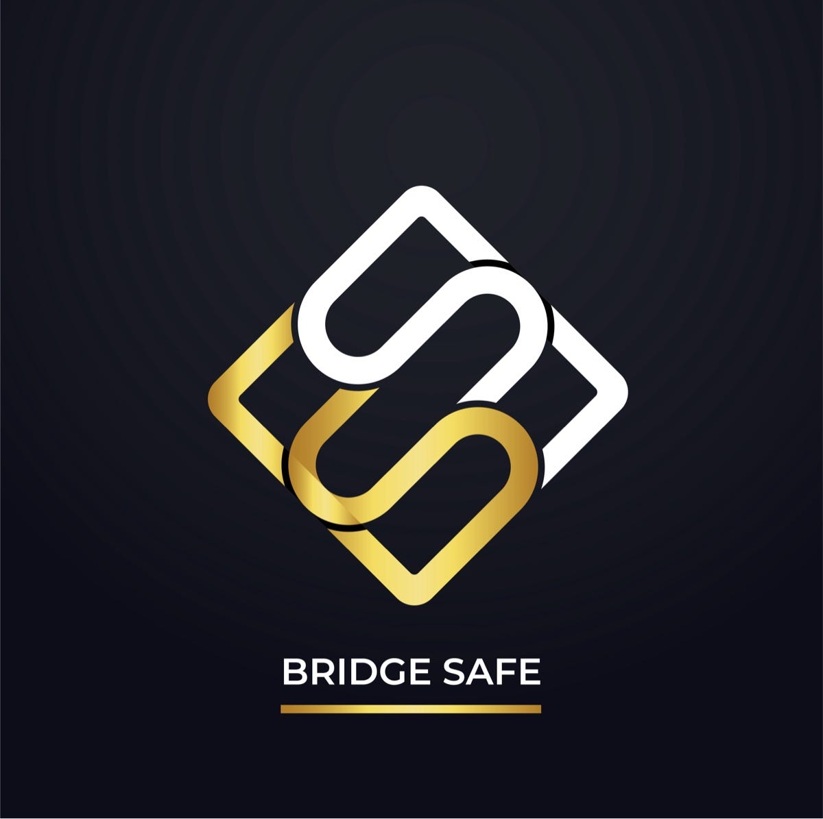 Bridge Safe – Medium
