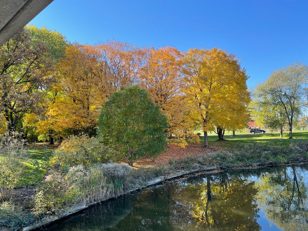 The Human Map on Medium curated some lists